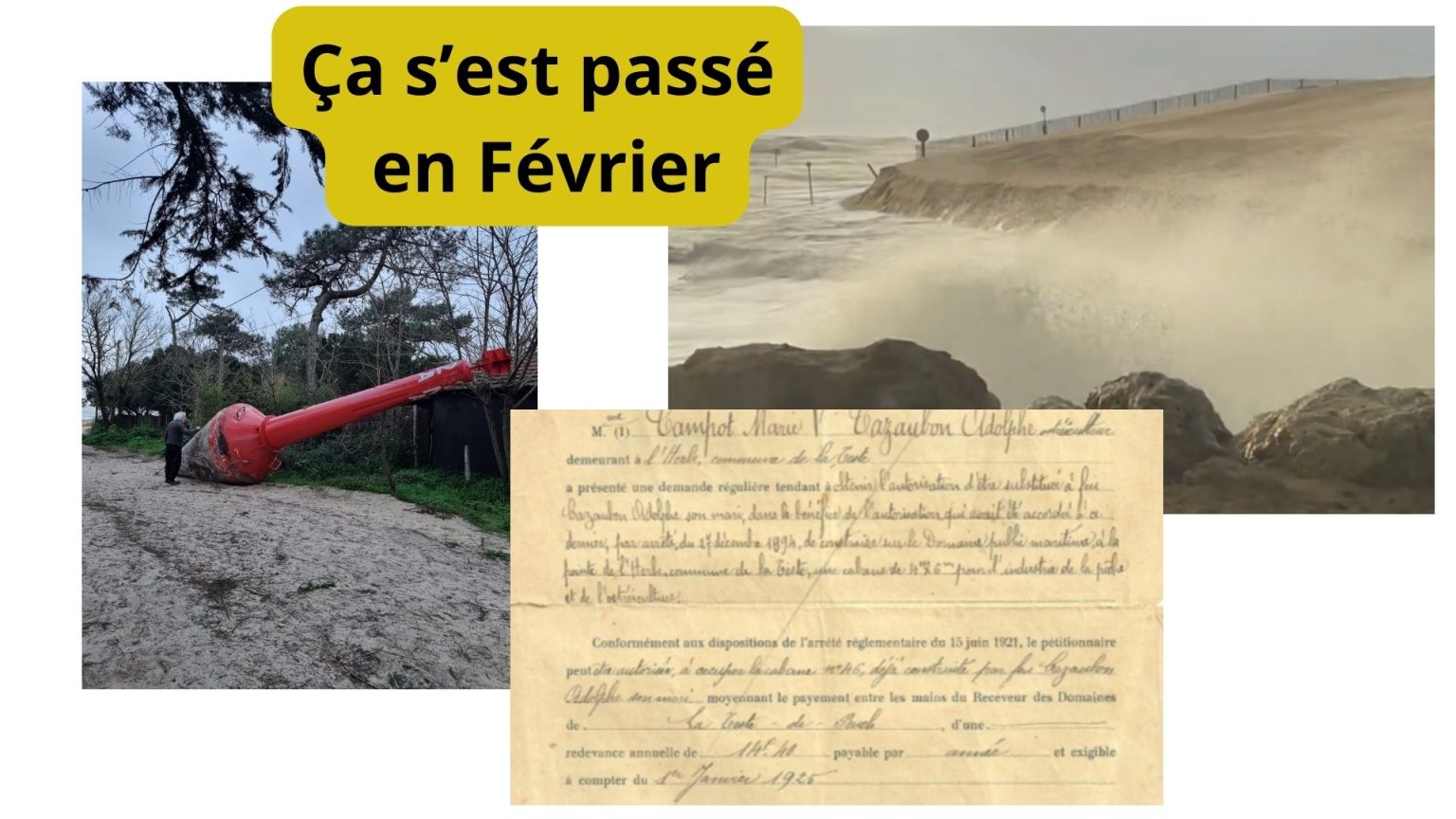 Les informations du mois de Février – PALCF